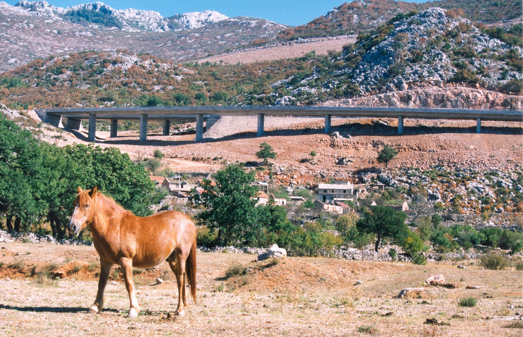 Wind Analysis: Viaduct Baricevic, Croatia - Pipenbaher Consulting Engineers